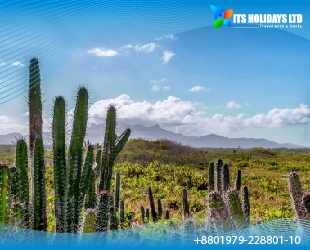 Discover Venezuela Tour Package | ITS Holidays Ltd